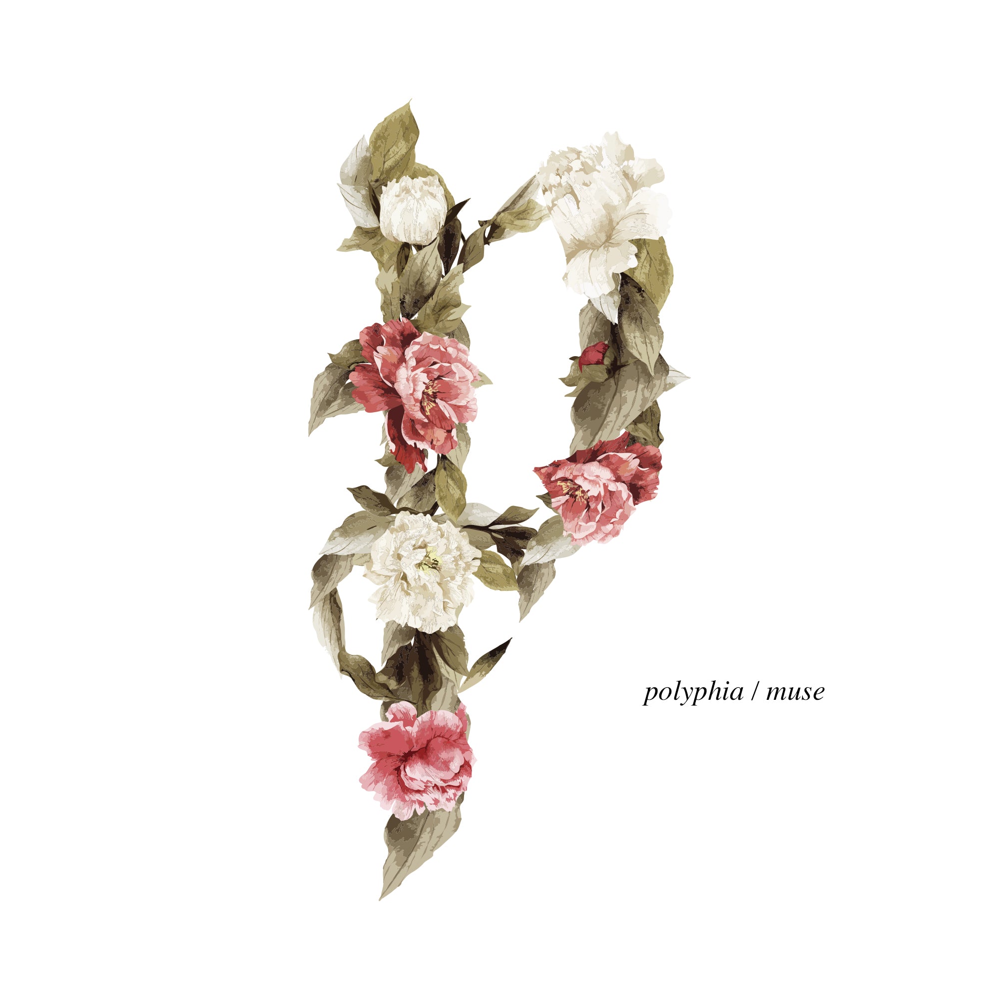 Polyphia - Muse Tabs – Polyphia Tabs